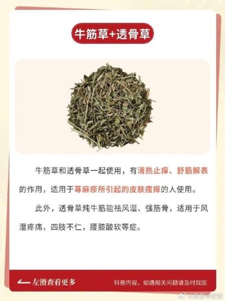 牛筋草怎么吃治类风湿关节炎_牛筋草治疗类风湿的用法-第3张图片-山城妙识 牛筋草怎么吃治类风湿关节炎_牛筋草治疗类风湿的用法-第3张图片-山城妙识