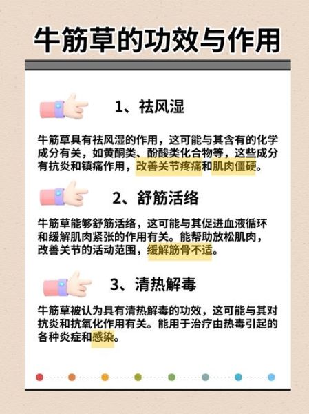 牛筋草怎么吃治类风湿关节炎_牛筋草治疗类风湿的用法-第1张图片-山城妙识 牛筋草怎么吃治类风湿关节炎_牛筋草治疗类风湿的用法-第1张图片-山城妙识
