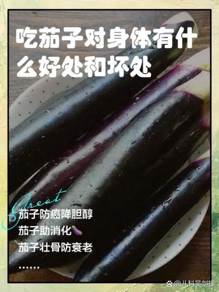 中医为什么不让吃茄子_茄子性寒对哪些人有害-第1张图片-山城妙识