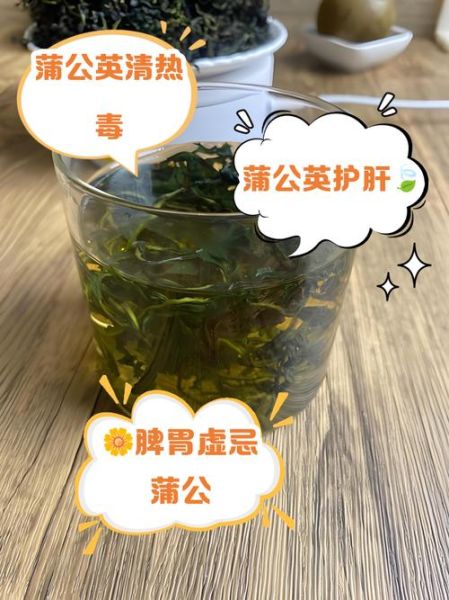 婆婆丁的功效与作用_婆婆丁怎么吃最好-第3张图片-山城妙识