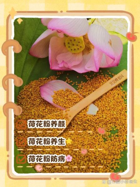 女人长期吃花粉的好处_花粉对女性的作用有哪些-第2张图片-山城妙识