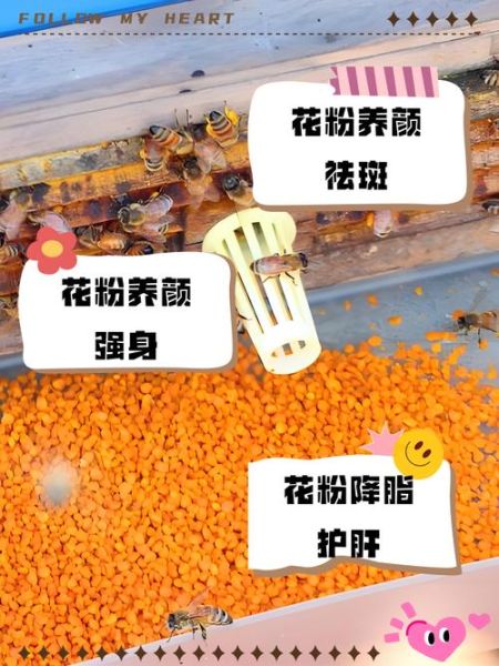 女人长期吃花粉的好处_花粉对女性的作用有哪些-第1张图片-山城妙识