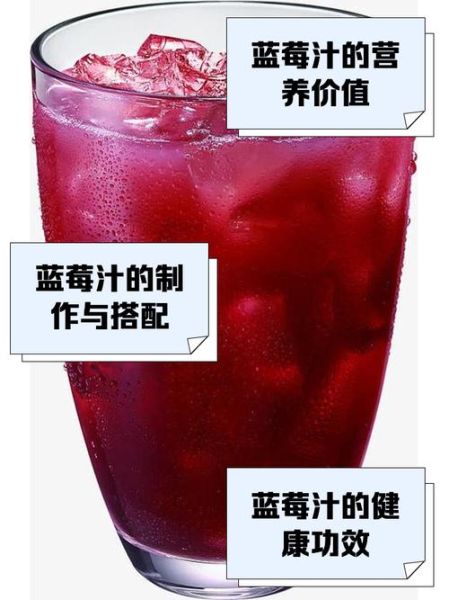 鲜榨蓝莓汁怎么做_蓝莓榨汁要不要加水-第2张图片-山城妙识