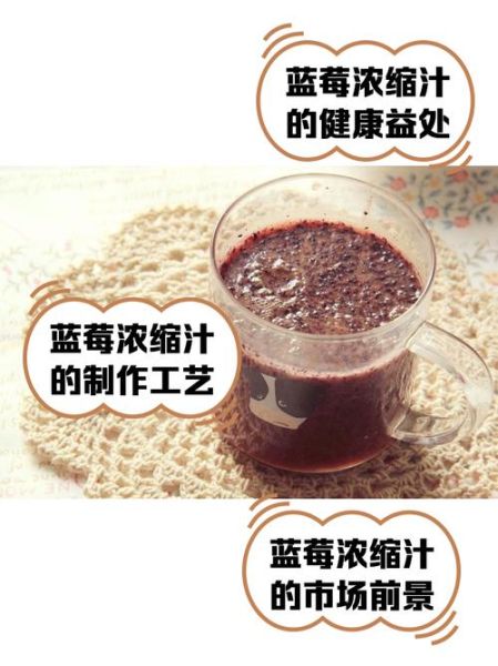 鲜榨蓝莓汁怎么做_蓝莓榨汁要不要加水-第1张图片-山城妙识