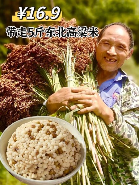 高粱米干饭怎么做_高粱米干饭的做法大全-第3张图片-山城妙识