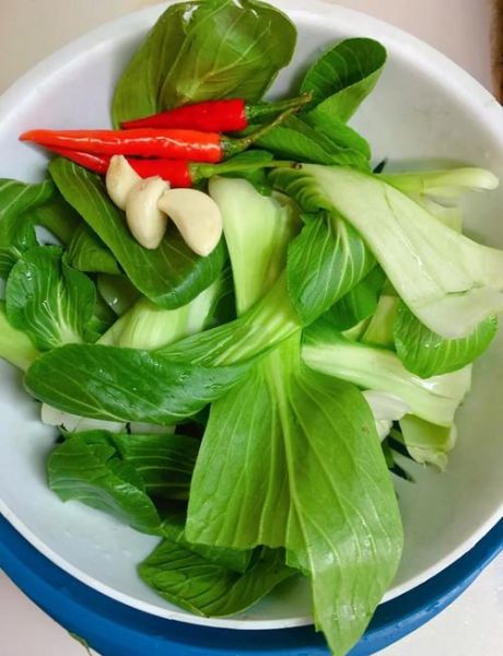 小油菜怎么炒好吃_小油菜的做法大全家常做法-第1张图片-山城妙识