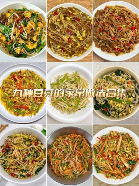 绿豆芽怎么做好吃_绿豆芽有哪些家常做法-第1张图片-山城妙识