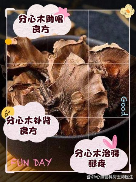 喝分心木对女人啥好处_女人喝分心木泡水有哪些功效-第1张图片-山城妙识