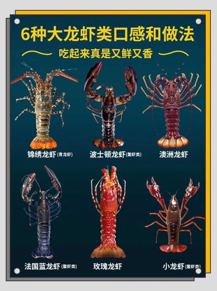中国龙虾品种有哪些_哪种最好吃-第3张图片-山城妙识