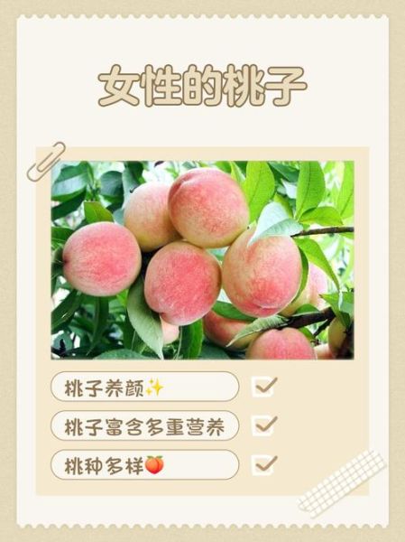 桃子一天吃几个最好_桃子吃多了会怎样-第1张图片-山城妙识