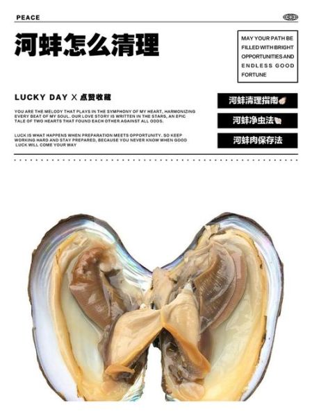 河蚌内脏怎么清洗_河蚌内脏清洗视频教程-第1张图片-山城妙识 河蚌内脏怎么清洗_河蚌内脏清洗视频教程-第1张图片-山城妙识