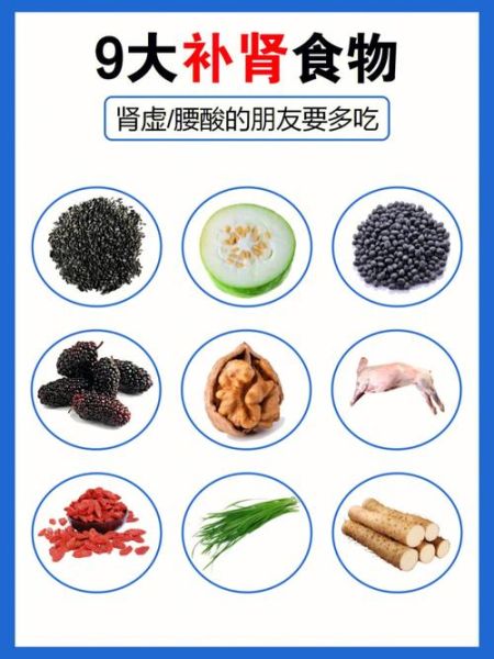 补肾食疗方子有哪些_肾虚吃什么食物好-第3张图片-山城妙识 补肾食疗方子有哪些_肾虚吃什么食物好-第3张图片-山城妙识