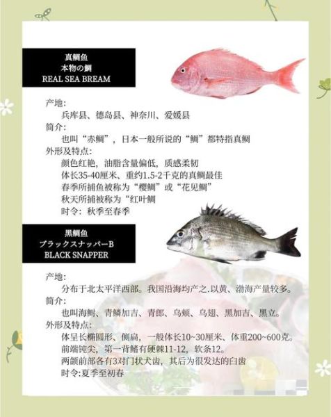 鲷粤语怎么读_鲷鱼粤语发音详解-第1张图片-山城妙识