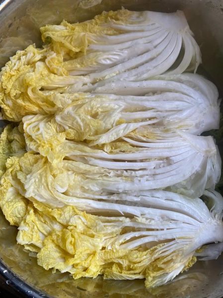 芸豆馅饺子芸豆用焯水吗_芸豆饺子焯水还是不焯水-第3张图片-山城妙识