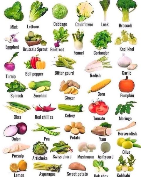 蔬菜的英语怎么读_vegetable发音技巧-第1张图片-山城妙识 蔬菜的英语怎么读_vegetable发音技巧-第1张图片-山城妙识