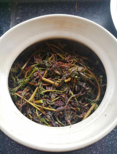 香椿怎么腌制才好吃_香椿腌制方法详细步骤-第1张图片-山城妙识
