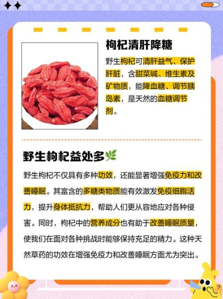 枸杞的功效与作用及禁忌是什么_哪些人不能吃枸杞-第3张图片-山城妙识