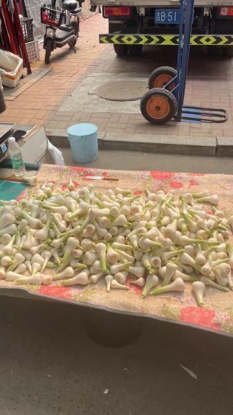 积蒜的腌制方法_积蒜腌制比例是多少-第1张图片-山城妙识