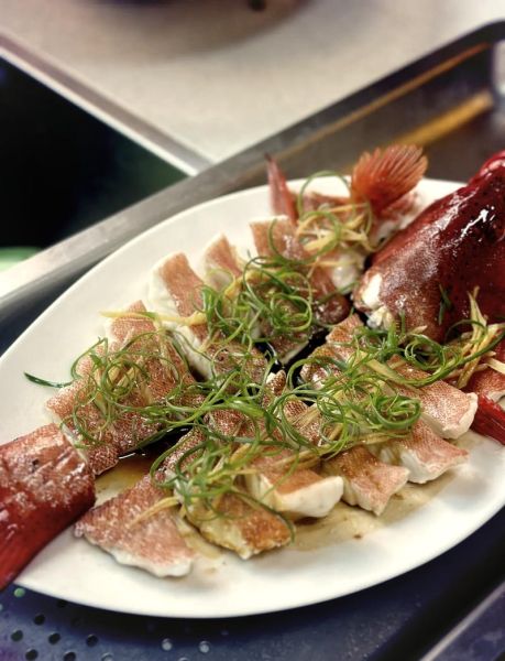 东星斑鱼怎么清蒸_东星斑鱼做法大全-第1张图片-山城妙识 东星斑鱼怎么清蒸_东星斑鱼做法大全-第1张图片-山城妙识