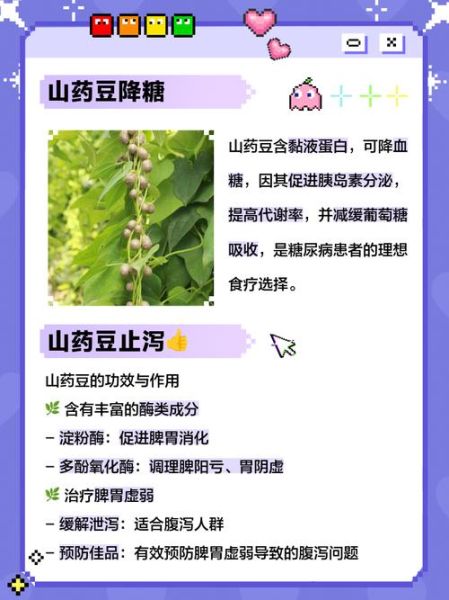 山药豆和山药的营养价值有区别吗_哪个更适合日常食用-第2张图片-山城妙识 山药豆和山药的营养价值有区别吗_哪个更适合日常食用-第2张图片-山城妙识