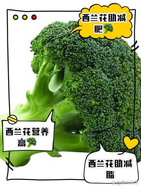 西兰花热量多少大卡_减肥能吃西兰花吗-第1张图片-山城妙识 西兰花热量多少大卡_减肥能吃西兰花吗-第1张图片-山城妙识