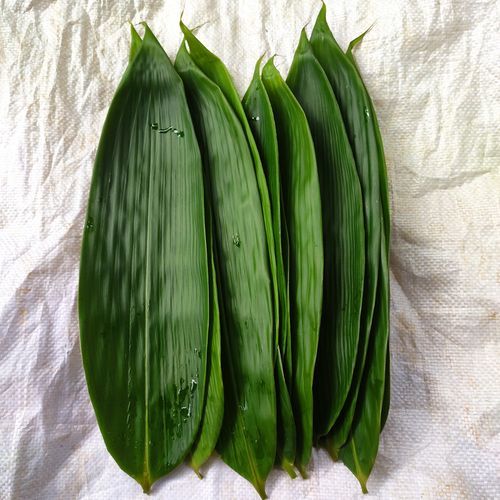 包粽子的叶子叫什么植物_粽叶是哪种植物的叶子-第2张图片-山城妙识