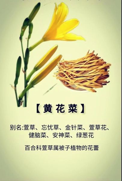 凉拌黄花菜怎么做_凉拌黄花菜要不要焯水-第3张图片-山城妙识 凉拌黄花菜怎么做_凉拌黄花菜要不要焯水-第3张图片-山城妙识