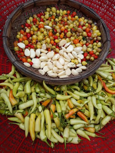 酱油辣椒怎么腌制才脆_酱油辣椒腌制多久可以吃-第1张图片-山城妙识