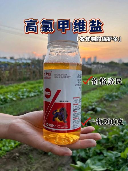 甜菜夜蛾用什么药防治_高效低毒药剂推荐-第3张图片-山城妙识 甜菜夜蛾用什么药防治_高效低毒药剂推荐-第3张图片-山城妙识