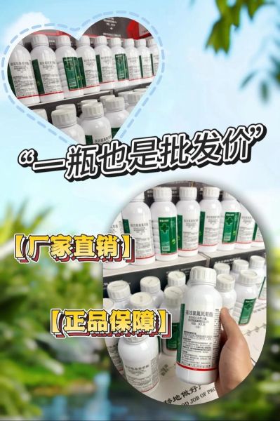 甜菜夜蛾用什么药防治_高效低毒药剂推荐-第2张图片-山城妙识 甜菜夜蛾用什么药防治_高效低毒药剂推荐-第2张图片-山城妙识