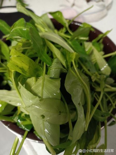 空心菜怎么摘洗_空心菜清洗的正确方法-第1张图片-山城妙识