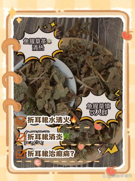 哪些人不能吃鱼腥草_鱼腥草禁忌人群-第3张图片-山城妙识 哪些人不能吃鱼腥草_鱼腥草禁忌人群-第3张图片-山城妙识