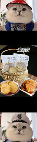 素鸡豆腐卷怎么做_素鸡豆腐卷热量高吗-第1张图片-山城妙识