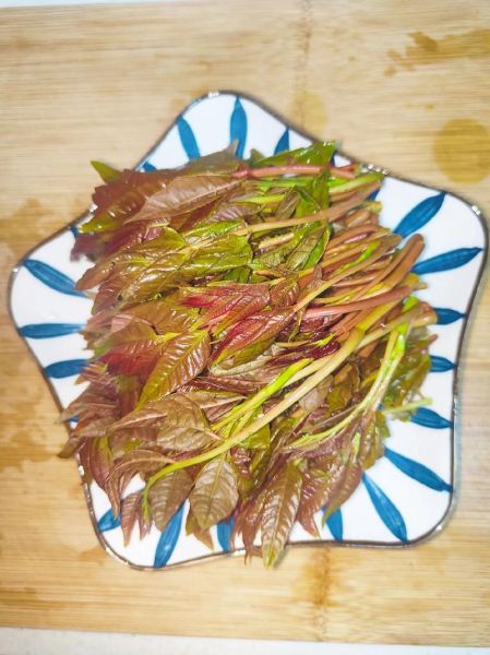 香椿怎么吃_香椿怎么做好吃-第3张图片-山城妙识