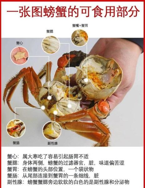 螃蟹不能和什么一起吃会中毒_螃蟹相克食物真相-第3张图片-山城妙识 螃蟹不能和什么一起吃会中毒_螃蟹相克食物真相-第3张图片-山城妙识