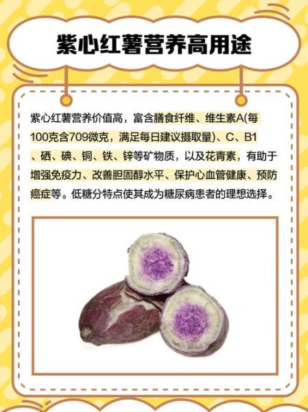 紫地瓜是转基因吗_紫地瓜和紫薯区别-第1张图片-山城妙识