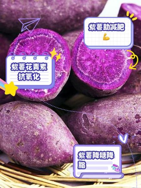 紫地瓜是转基因吗_紫地瓜和紫薯区别-第3张图片-山城妙识