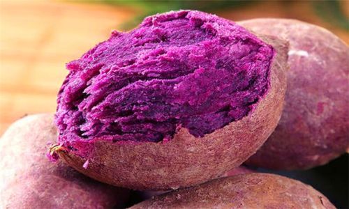 番薯小组官网是什么_番薯小组官网怎么用-第2张图片-山城妙识