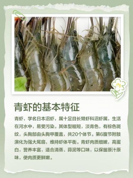 青虾怎么做好吃_青虾营养价值有哪些-第3张图片-山城妙识 青虾怎么做好吃_青虾营养价值有哪些-第3张图片-山城妙识