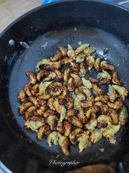 蝉的做法家常做法大全_蝉怎么做好吃-第2张图片-山城妙识