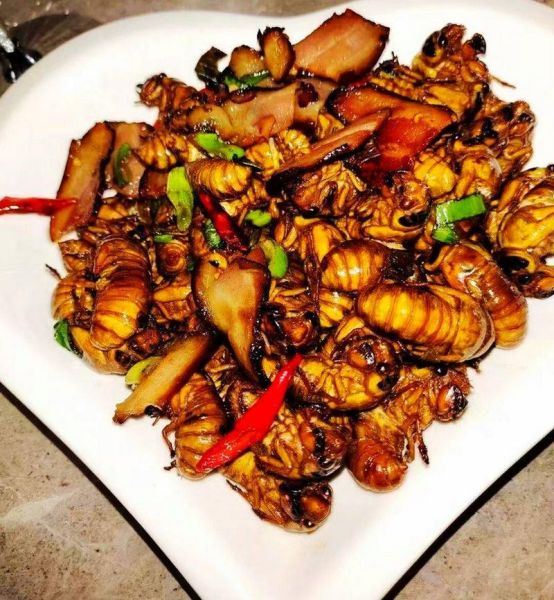 蝉的做法家常做法大全_蝉怎么做好吃-第3张图片-山城妙识