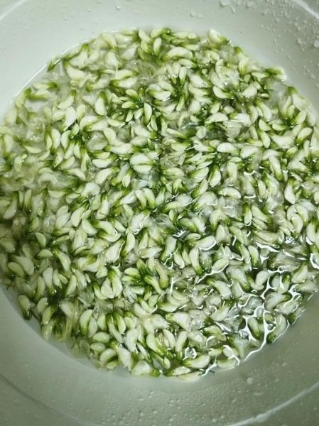 洋槐花怎么做好吃_洋槐花做法大全-第3张图片-山城妙识 洋槐花怎么做好吃_洋槐花做法大全-第3张图片-山城妙识