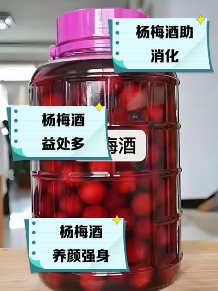 男人喝杨梅酒有什么好处_杨梅酒对男性性功能有帮助吗-第1张图片-山城妙识