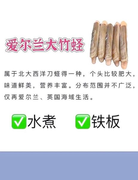 蛏子图片大全_蛏子怎么挑选-第1张图片-山城妙识