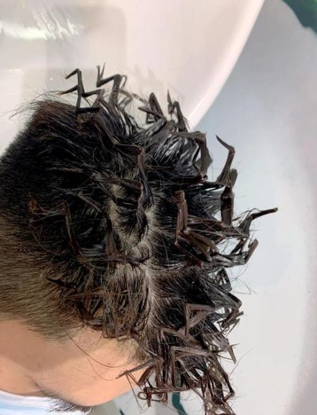 蚂蚱烫发型男适合什么脸型_蚂蚱烫发型男怎么打理-第2张图片-山城妙识 蚂蚱烫发型男适合什么脸型_蚂蚱烫发型男怎么打理-第2张图片-山城妙识