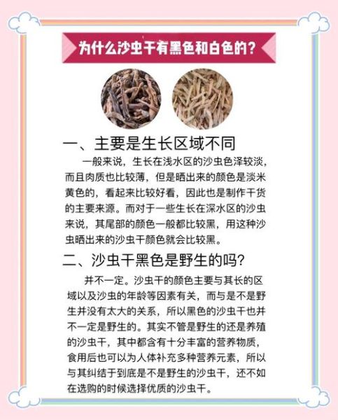 沙虫干有什么功效_沙虫干适合什么人吃-第3张图片-山城妙识