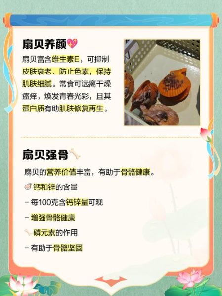 扇贝网怎么用_扇贝网官网网页版功能详解-第1张图片-山城妙识 扇贝网怎么用_扇贝网官网网页版功能详解-第1张图片-山城妙识