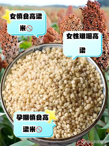 吃高粱米的禁忌有哪些_高粱米什么人不能吃-第1张图片-山城妙识 吃高粱米的禁忌有哪些_高粱米什么人不能吃-第1张图片-山城妙识