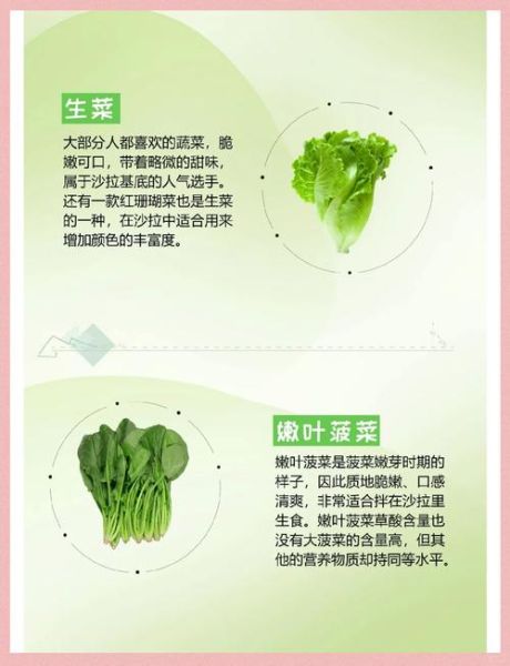 沙拉常用蔬菜有哪些_如何挑选更新鲜-第1张图片-山城妙识