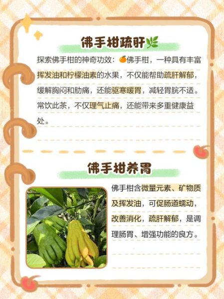 佛手柑怎么吃_佛手柑食用禁忌-第1张图片-山城妙识